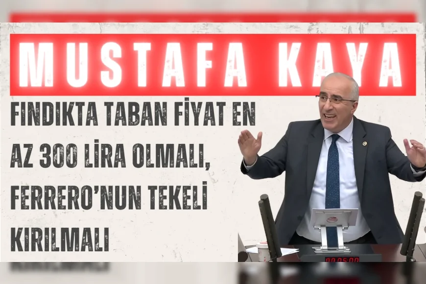 Saadet Partili Kaya: “Fındıkta taban fiyat en az 300 lira olmalı, Ferrero’nun tekeli kırılmalı ...